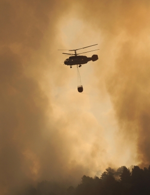 Spania: opt morţi şi 51 de persoane reţinute în urma incendiilor de ...