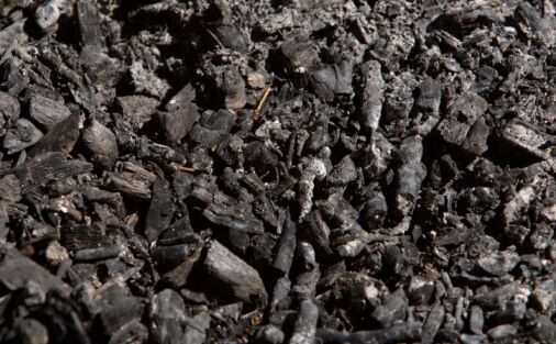 Europa redescoperă carbunele