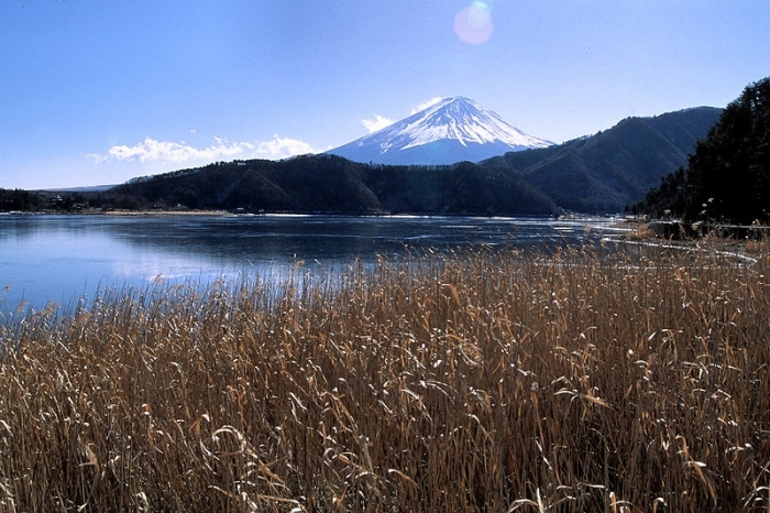 Muntele Fuji şi vilele Medici, printre propunerile pentru Patrimoniul ...