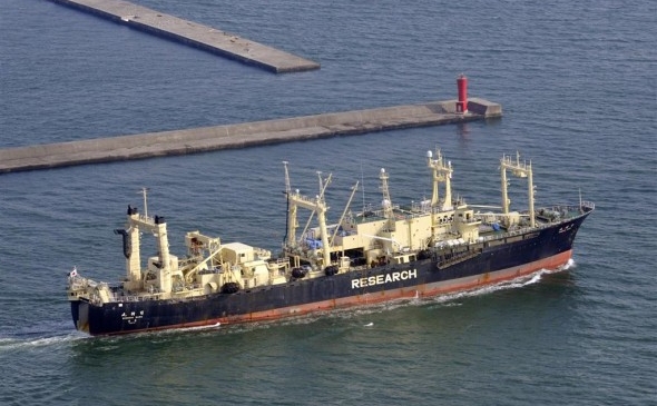 Japonia utilizează fondurile pentru cutremur pe vânătoarea de balene ...