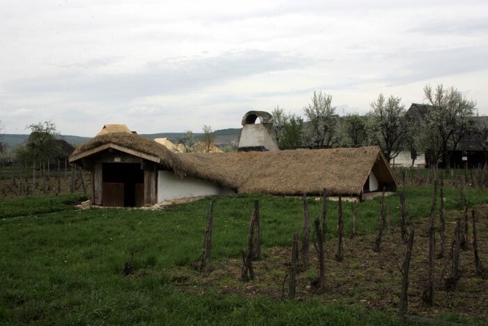 Bordeiaş, bordei, bordei!