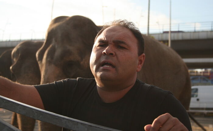 "Scoate-i ochiul, ca să-l loveşti mai bine!" - abuzuri la Circul Gartner