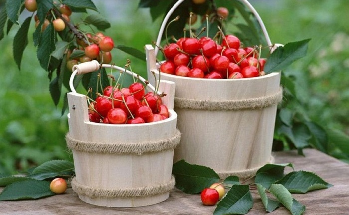 Beneficiile consumului de cireşe | Epoch Times România