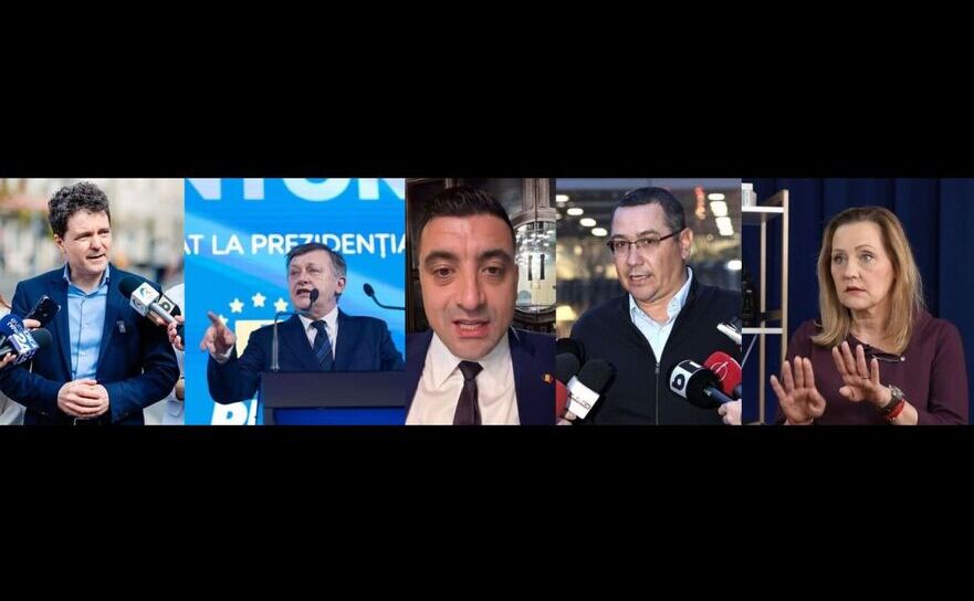 "Un puci şi o destăinuire complet ilogice" [Didona Goanţă]